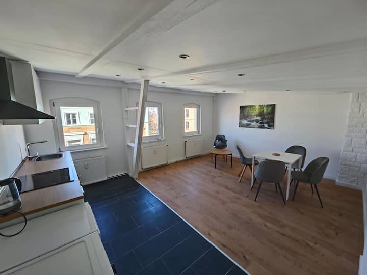 Renoviertes Charmantes Penthouse - Magdeburg