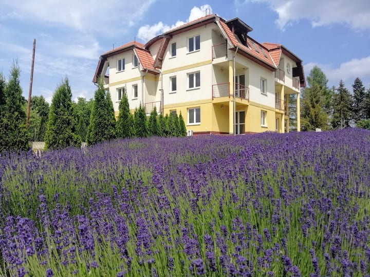 Bükkszentkereszt Oxigén Apartman - Miskolc
