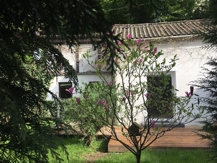 Ferienhaus Wilms - Eitorf