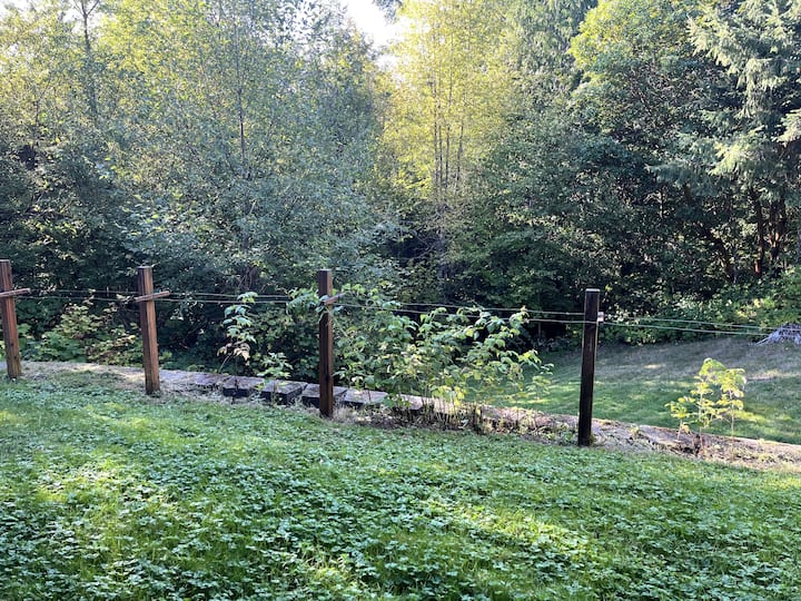 Dm's Bungalow - Gig Harbor, WA