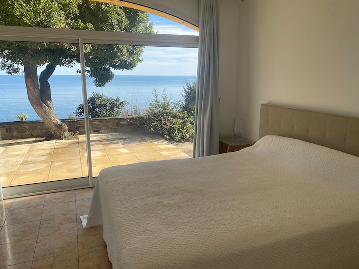 Magnifique Appartement - Collioure