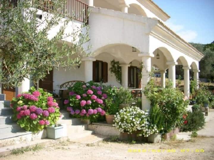 Appartement à L'étage . - Galéria
