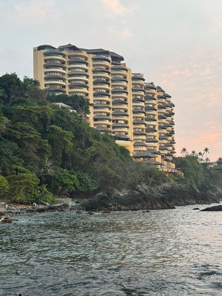 Palmetto, Ixtapa Zihuatanejo - Zihuatanejo