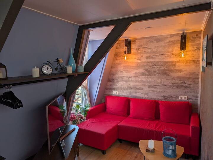 B&b In Achterhuis Monumentaal Pand 'T Zwanenest' - Harlingen