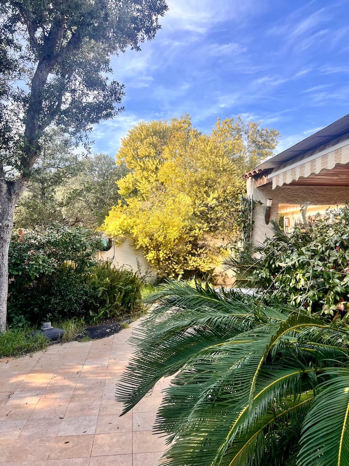 Maison Mela 50m à Pied Plage Santa Giulia - Porto-Vecchio