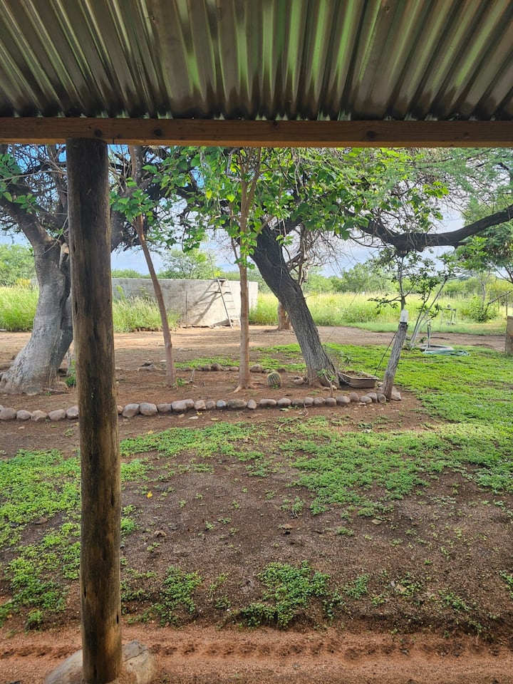 Thorn Tree Unit 2 - Alldays