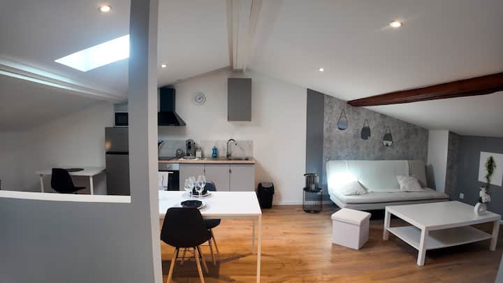 T2 Cosy + Terrasse + Netflix - Castres