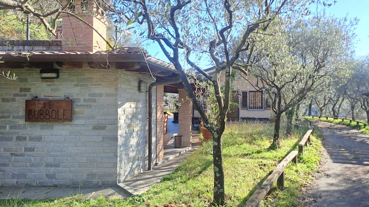 Bubbole - Camaiore