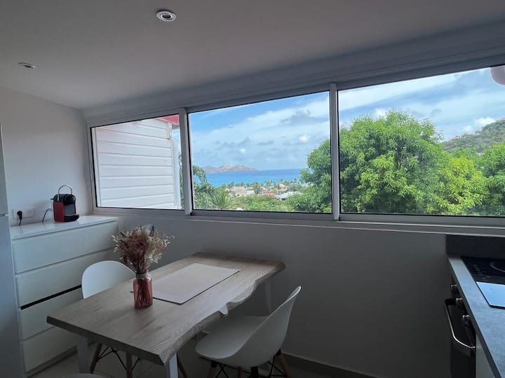 Studio Vue Mer à St Jean - Saint-Barthélemy
