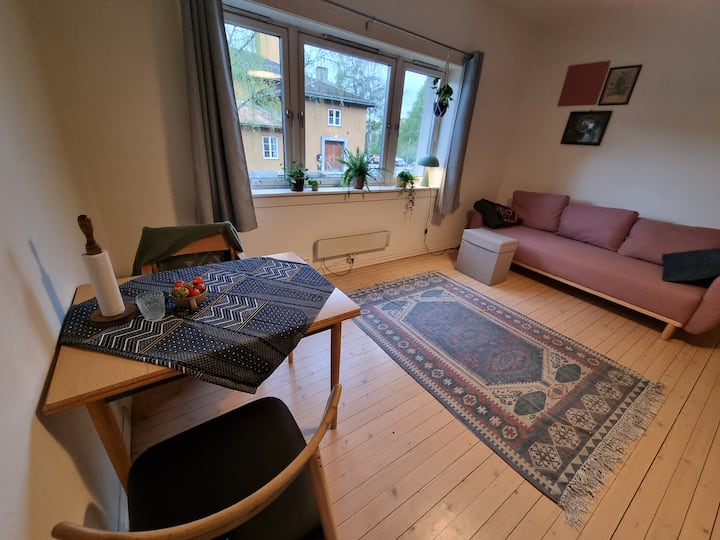 Enkel Ettroms Leilighet Iladalen - Oslo