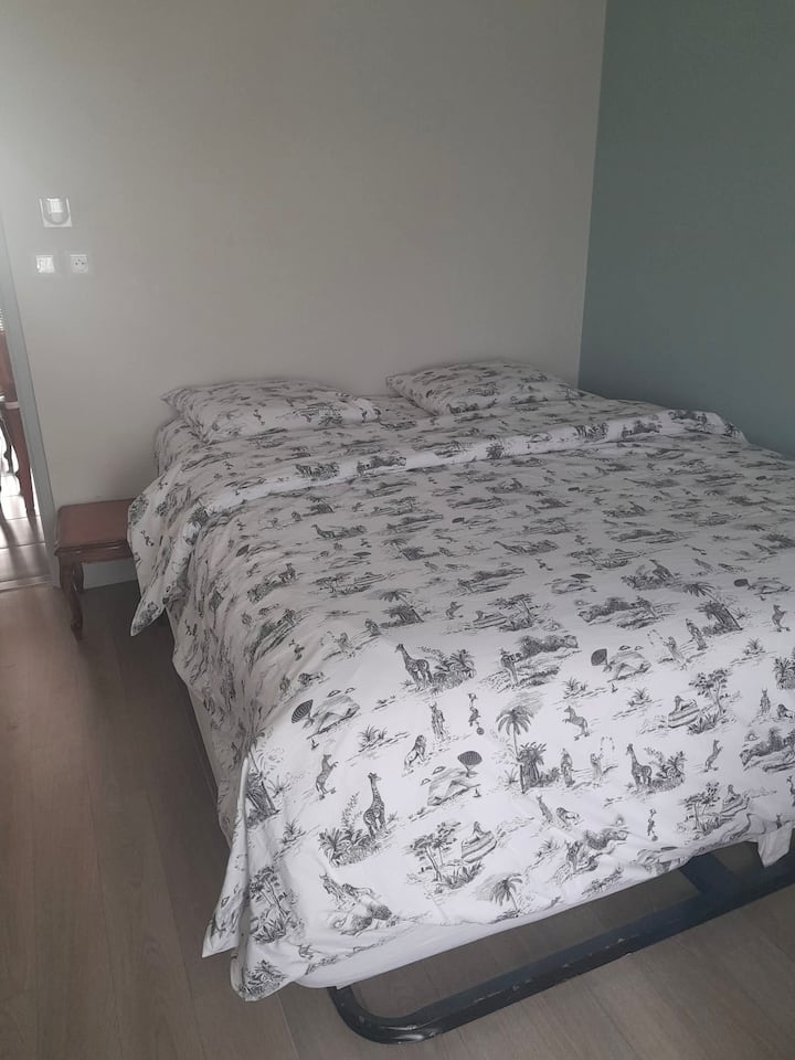 Chambre Libre Dans Une Maison - Sens