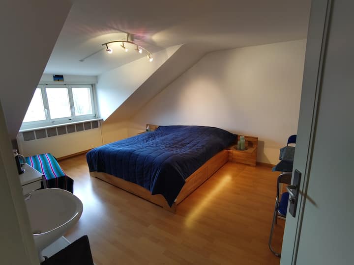 Cosy Room On Top Of Basel - Basilea