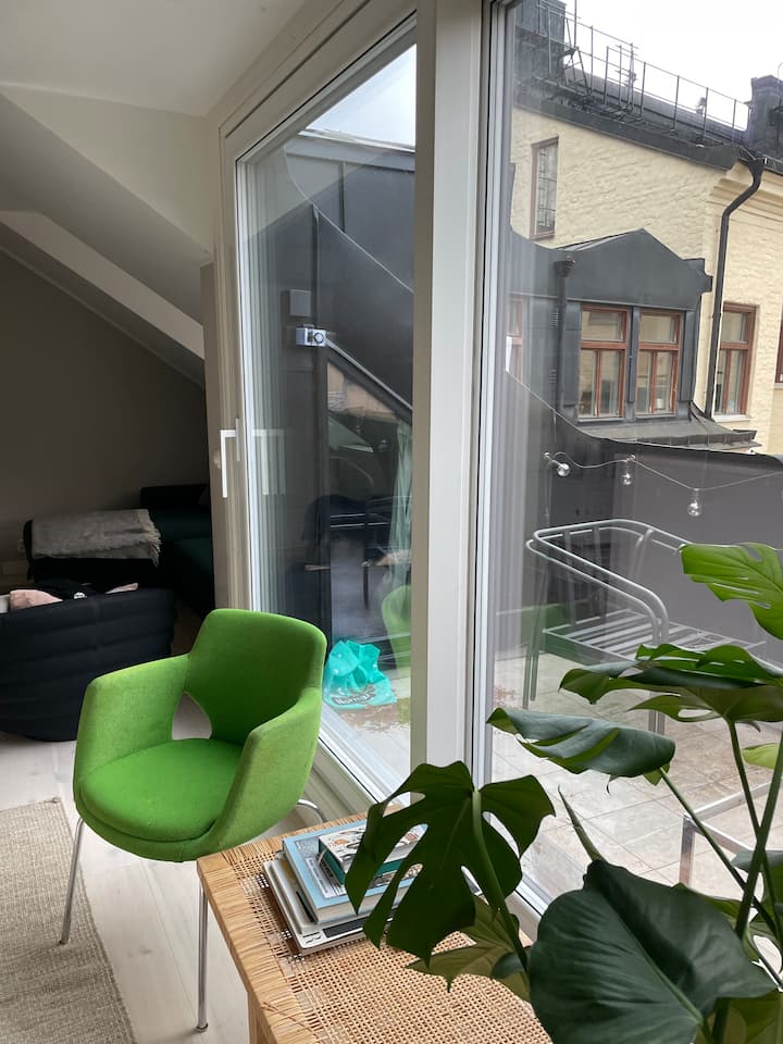 Vindsétage Med Takterass Mitt I Stan - Stockholm