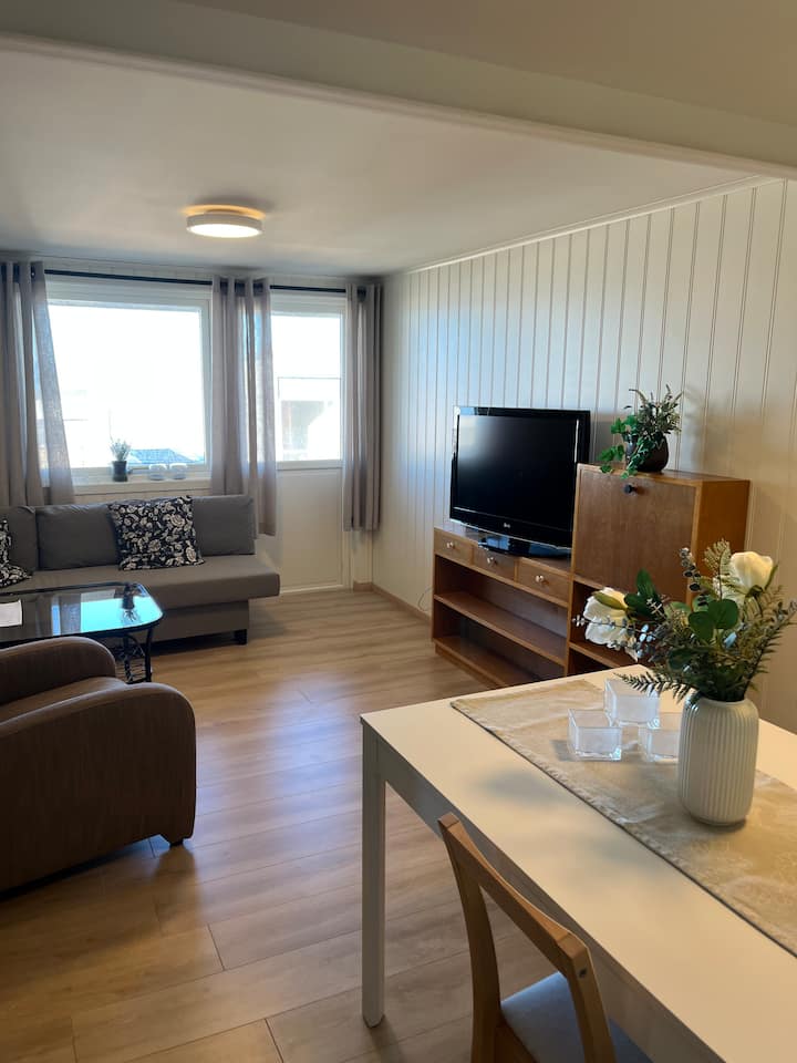 Nyoppusset Leilighet På Vikhammer Ved Trondheim - Malvik