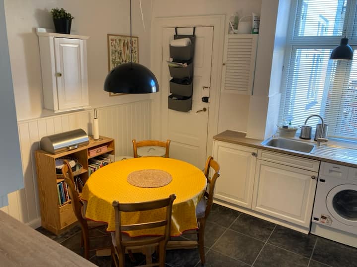 Appartement Lumineux Dans Le Vert Valby - Copenhaguen