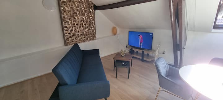 Le Max De L'eden-appart Cosy Proche Du Centre - Aeropuerto de Bruselas Sur Charleroi (CRL)
