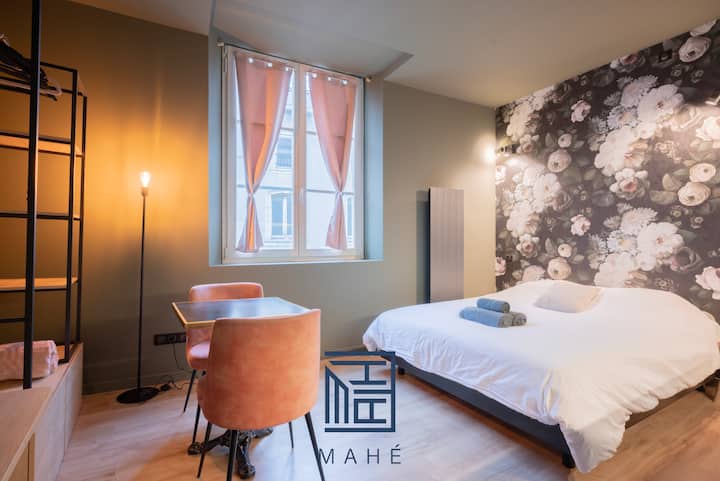 À 100 M De La Place Stanislas - Jardin Botanique - Nancy