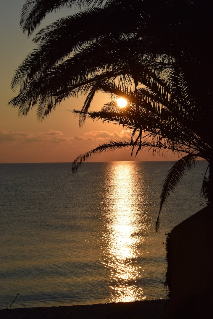 Marines De Bravone, Appartement 6 Places Vue Mer - Aléria