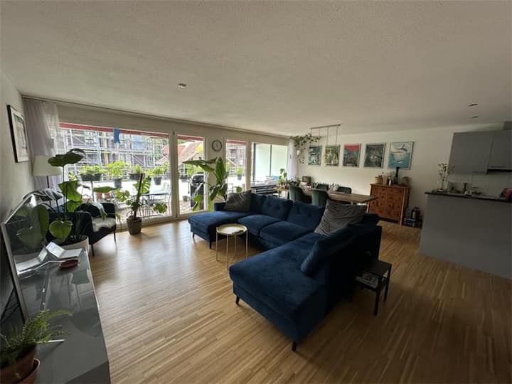 Gemütliche Wohnung In Luzern - Lucerne