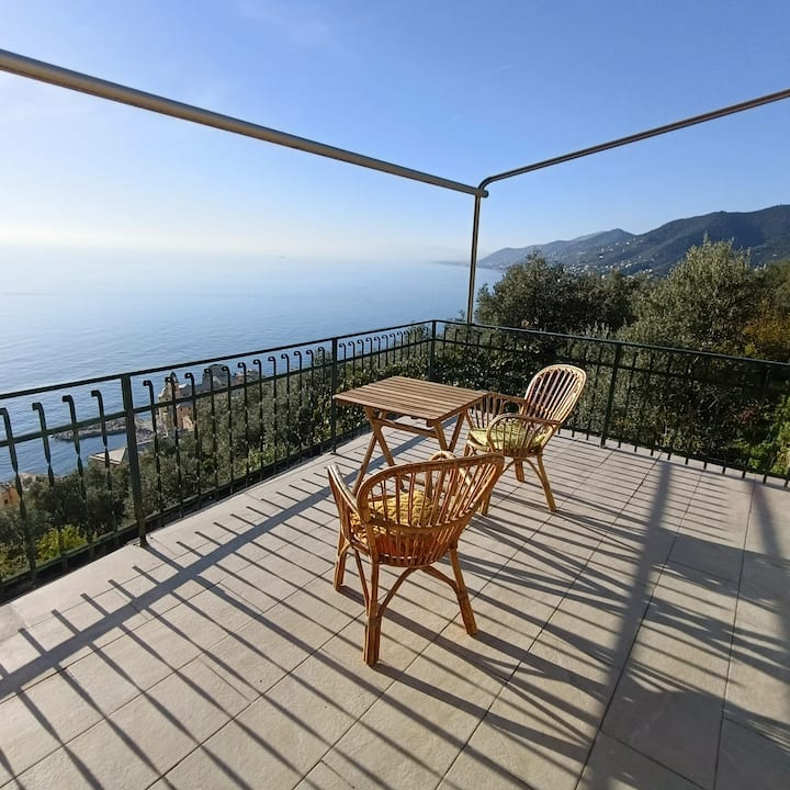Casa: Terrazzo Sul Mare - Camogli
