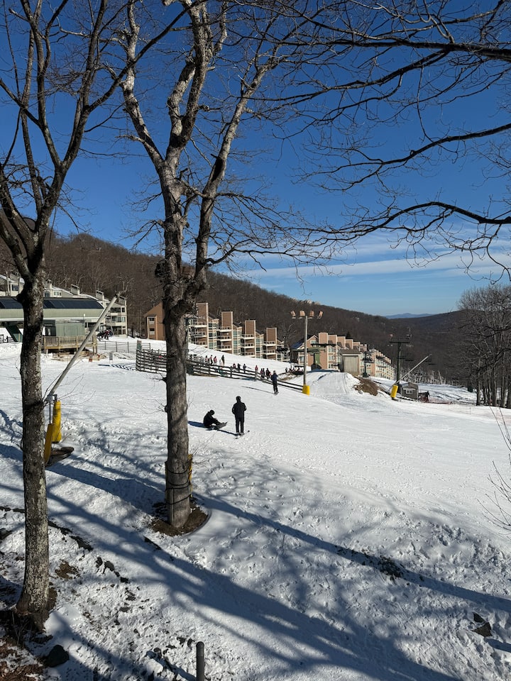 Wintergreen Condo Ski In Ski Out - Wintergreen Resort, VA