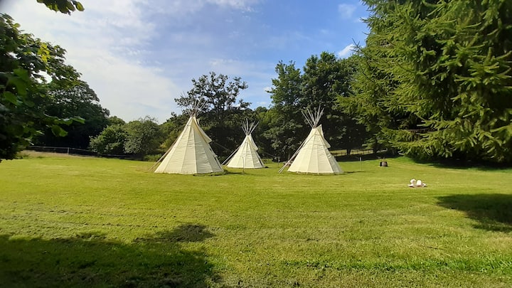 Gîte Tipi 6 Pers. & Confort "Saloon" D'armoricamp - Pont-Aven