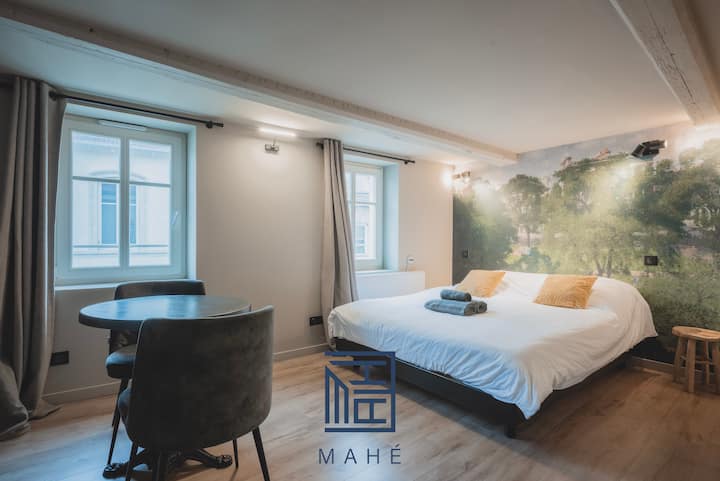 À 100 Mètres De La Place Stanislas - Pépinière - Nancy