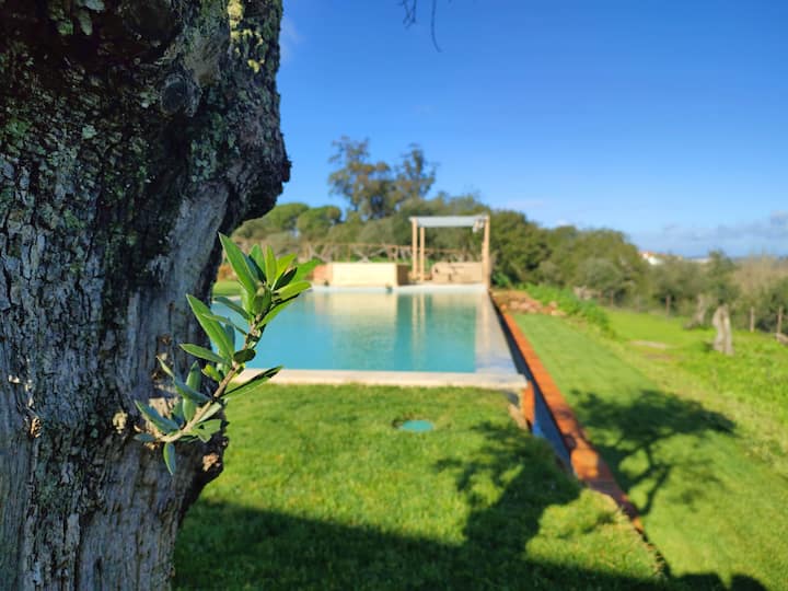 Quinta De Matrena - Golegã