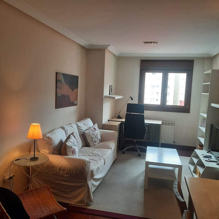 Apartamento En El Centro - Oviedo
