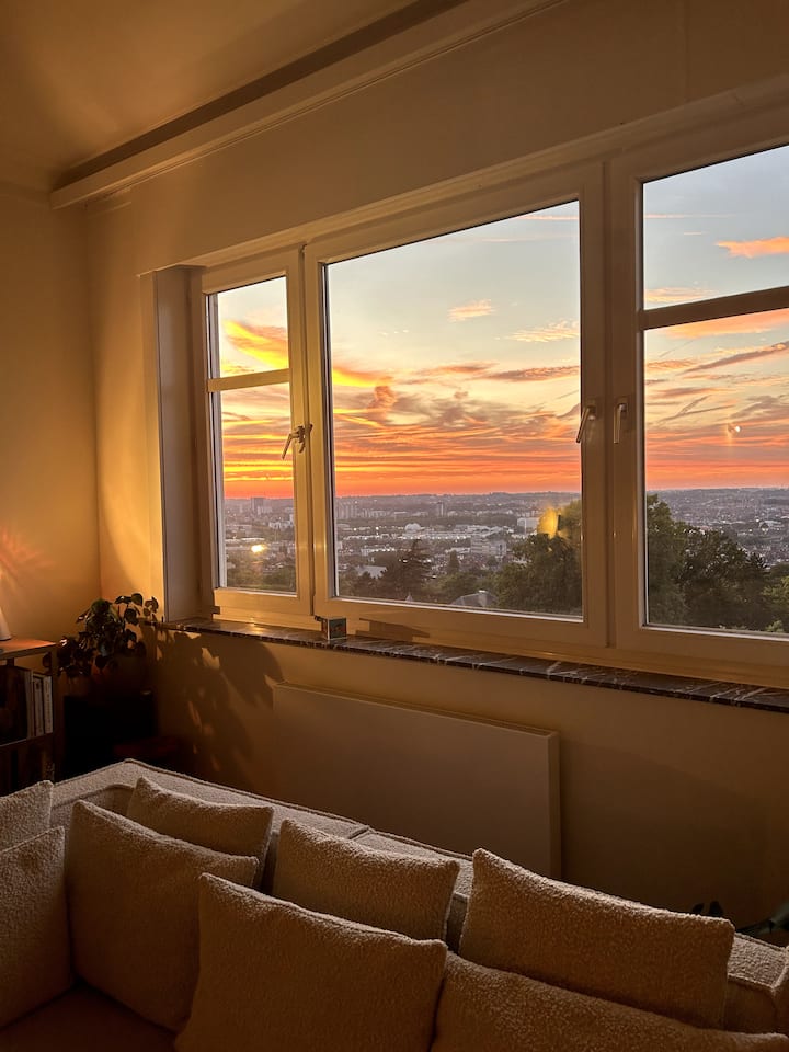 Art Deco Flat Met Wijds Uitzicht - Brussel
