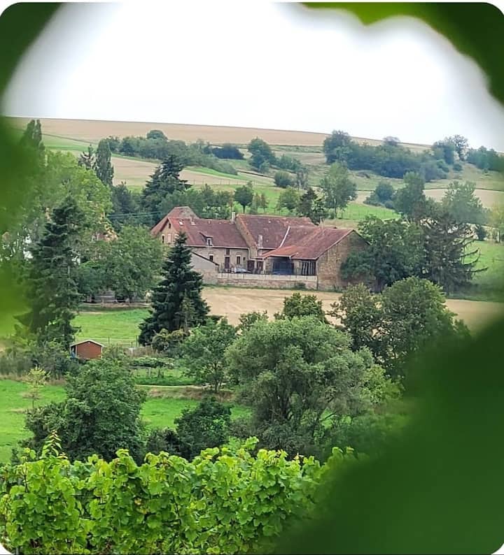 Doppelzimmer Alwine Weinbergblick Bauernhof - Allemagne