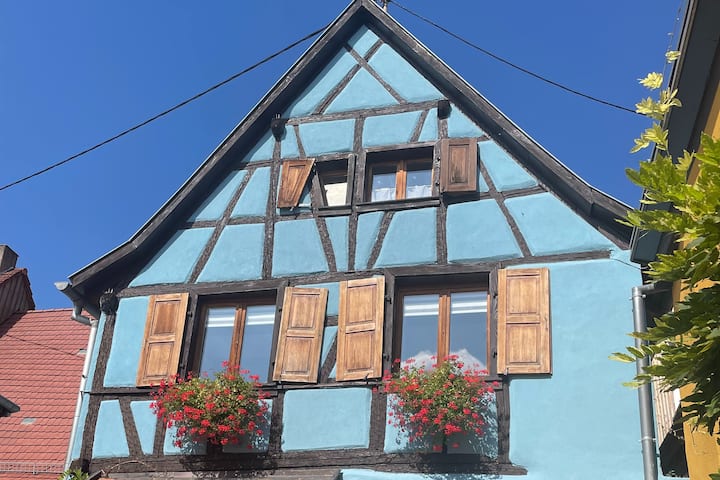 Maison Typique Alsacienne 4* - Colmar