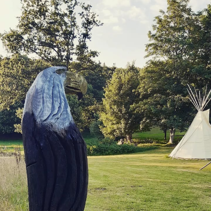 Gîte En Tipi & Confort Au Saloon D'armoricamp - Concarneau