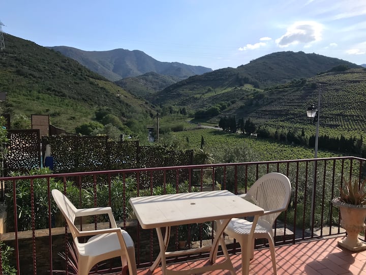 Villa Banyuls Au Pied Des Vignes - Banyuls-sur-Mer
