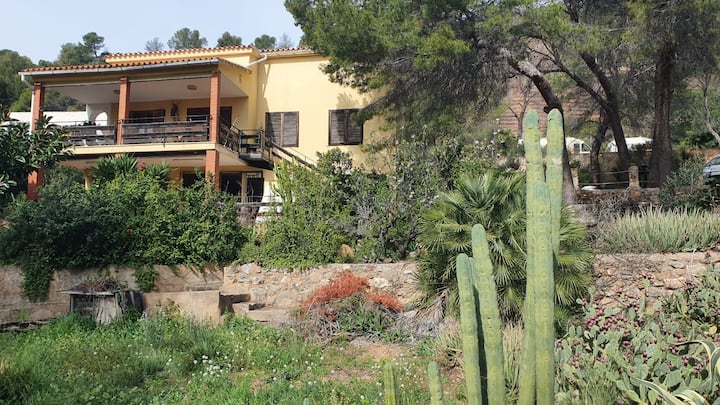 Natural Paradise Home - Benicasim
