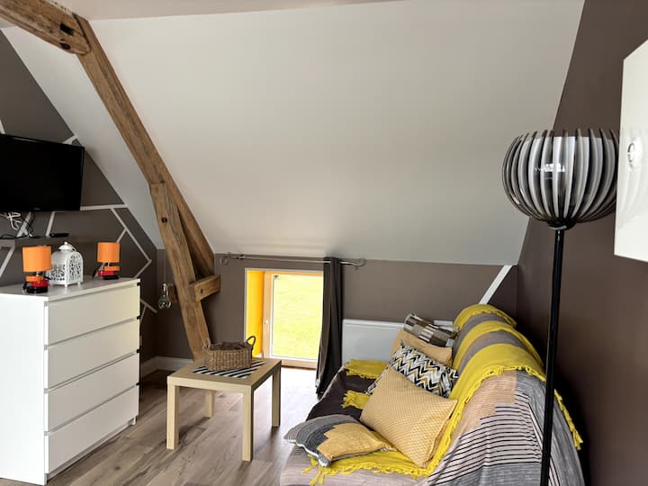 Appartement Avec Cour 3 - Briare