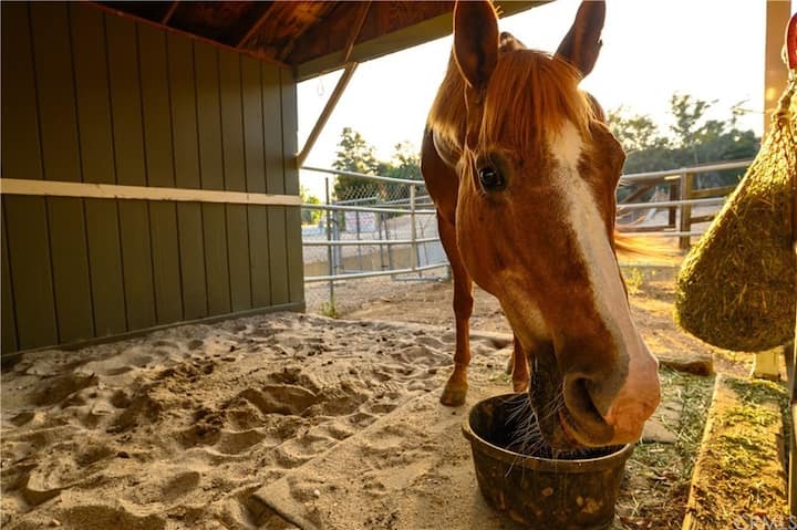 5-acre Stay At The Emerald Grove - California