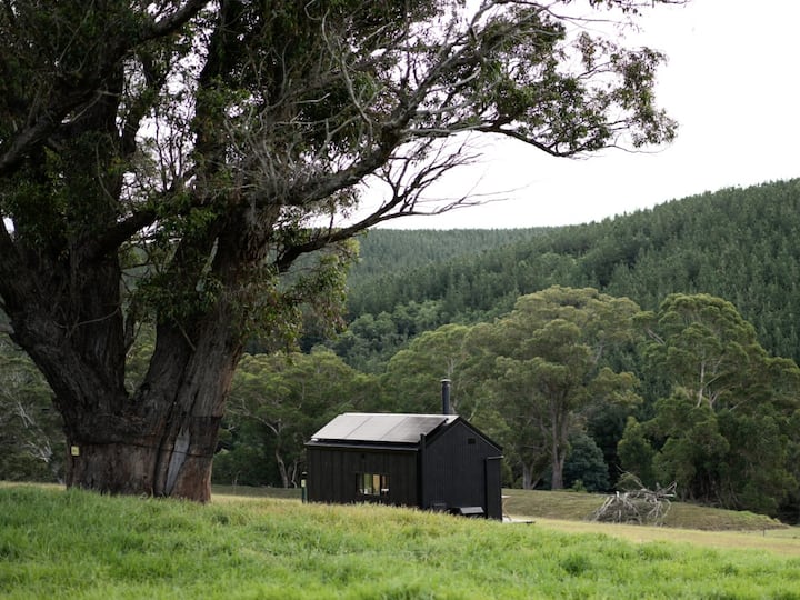 Off-grid Cabin With Valley Views And Hot Tub - Tarra-Bulga National Park