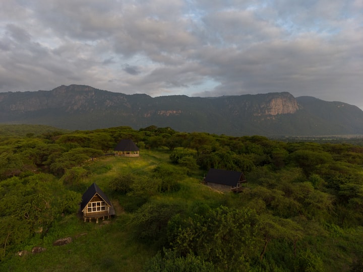 Shamba Pori Lodge - Tanzanie