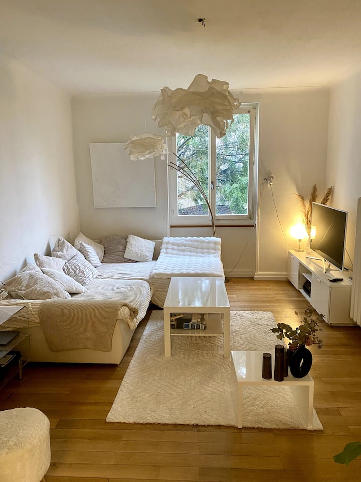 Cozy Apartments Near Eurovision - Basel