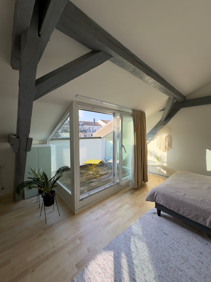 Cozy-central And Spacious Room - Weil am Rhein