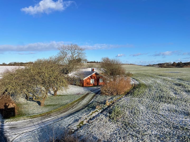 Boszicht Van Ruitenbeek Haarby,funen - Denmark
