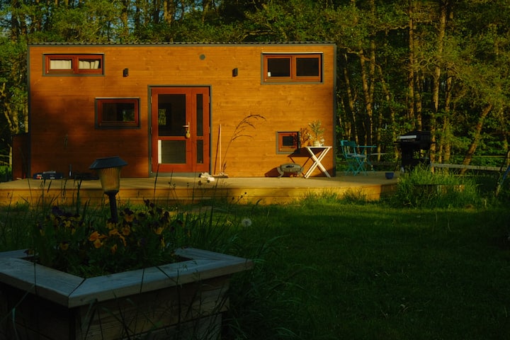 Bo Bland Alpackor – Tiny House - Sweden