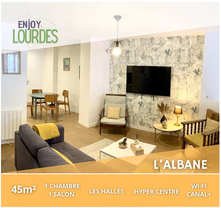 L’albane-hyper Centre-halles De Lourdes-45 M² - Lourdes