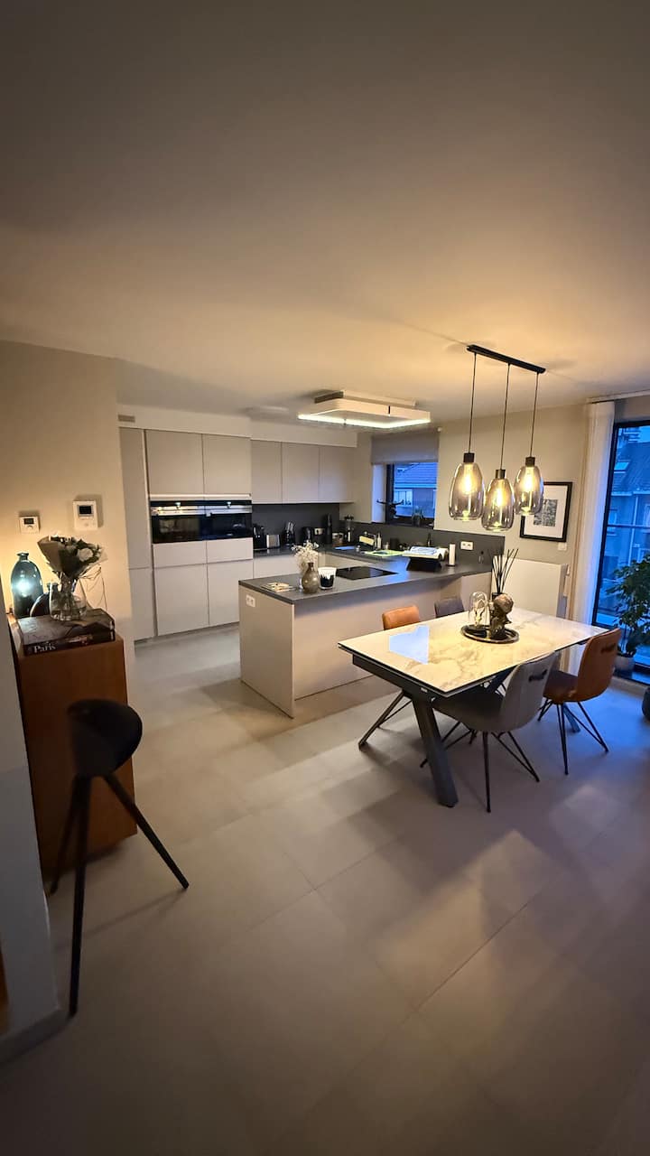 Appartement Duplex Lumineux - Brussel