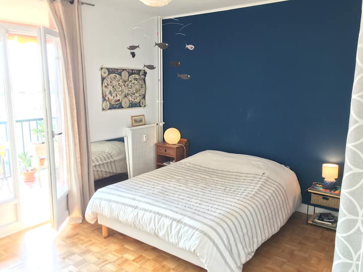 Chambre Lumineuse, Quartier Vert Et Calme - Valence