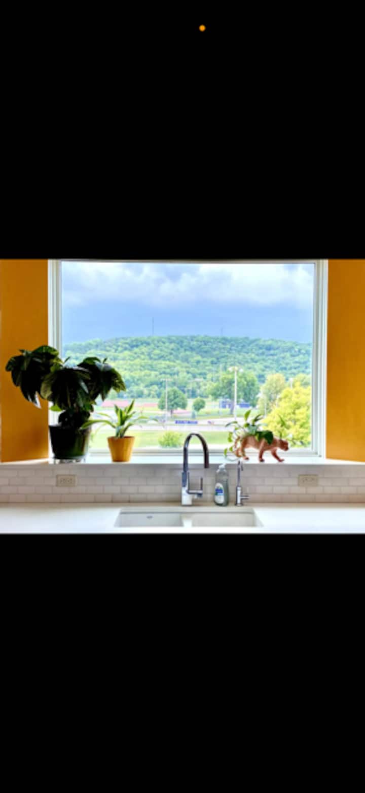 A Lofty View - Decorah, IA
