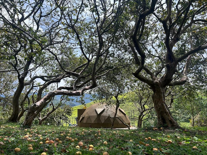 Glamping De Lujo Salento (Yarumo) - Salento