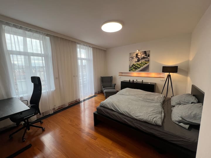Prostorný Apartmán S Terasou - Prague