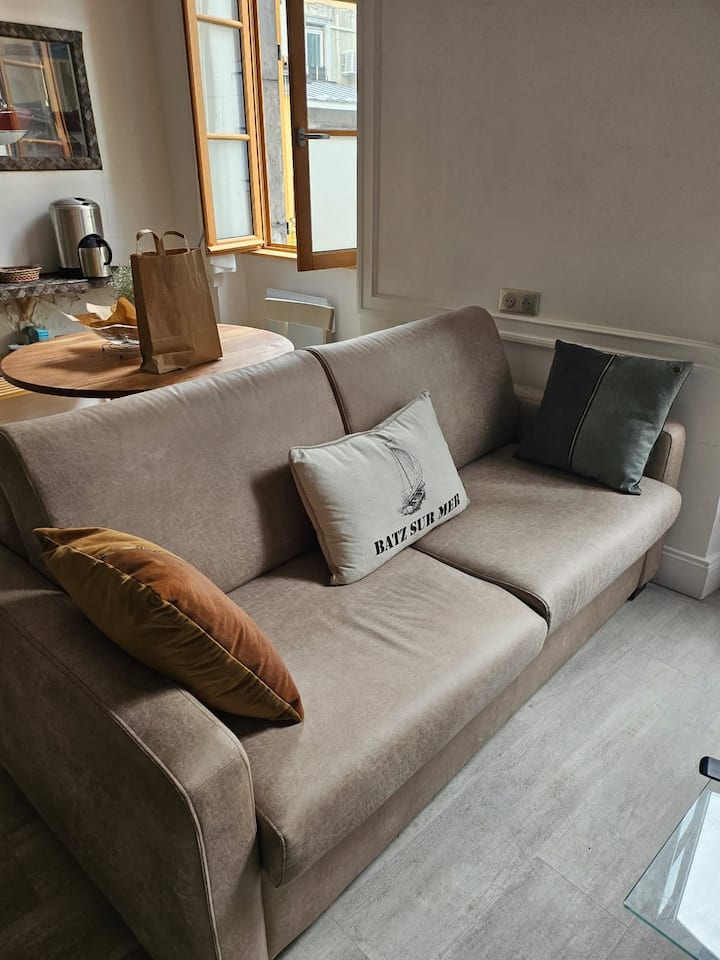 Appartement Lumineux En Plein Centre De Bagnières - Bagnères-de-Bigorre